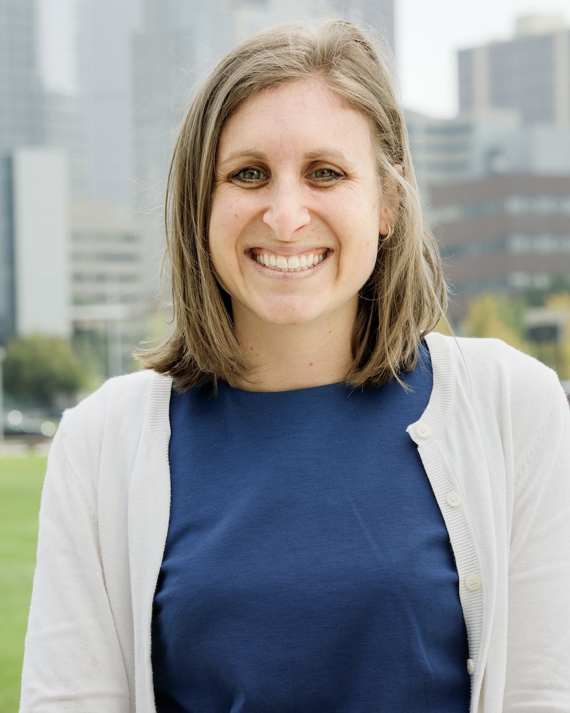 R. Stein | APA Division 16